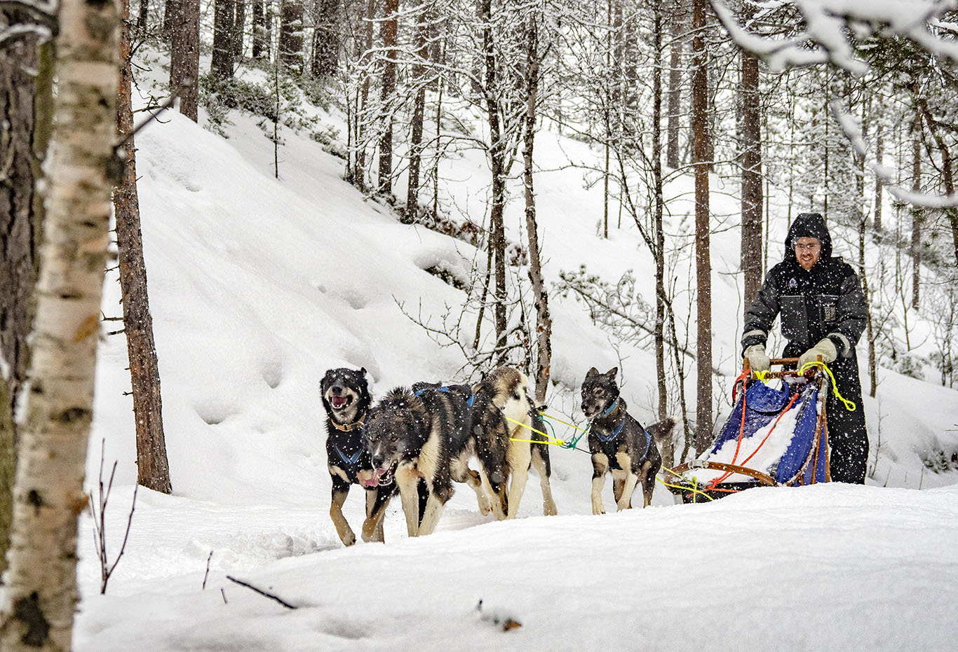 I hundeslede over Finnmarksvidda - Way2Go